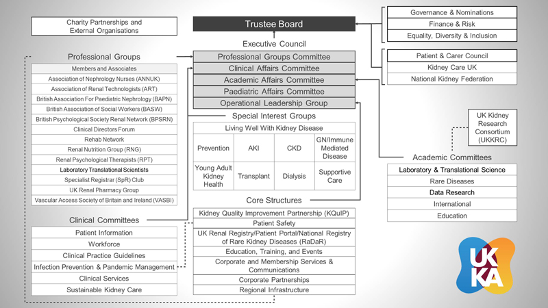 Governance & structure | The UK Kidney Association
